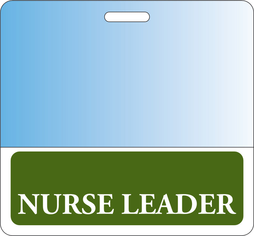 3 3 8 By 3 3 8 Double Sided Clear Green NURSE LEADER BadgeBuddies